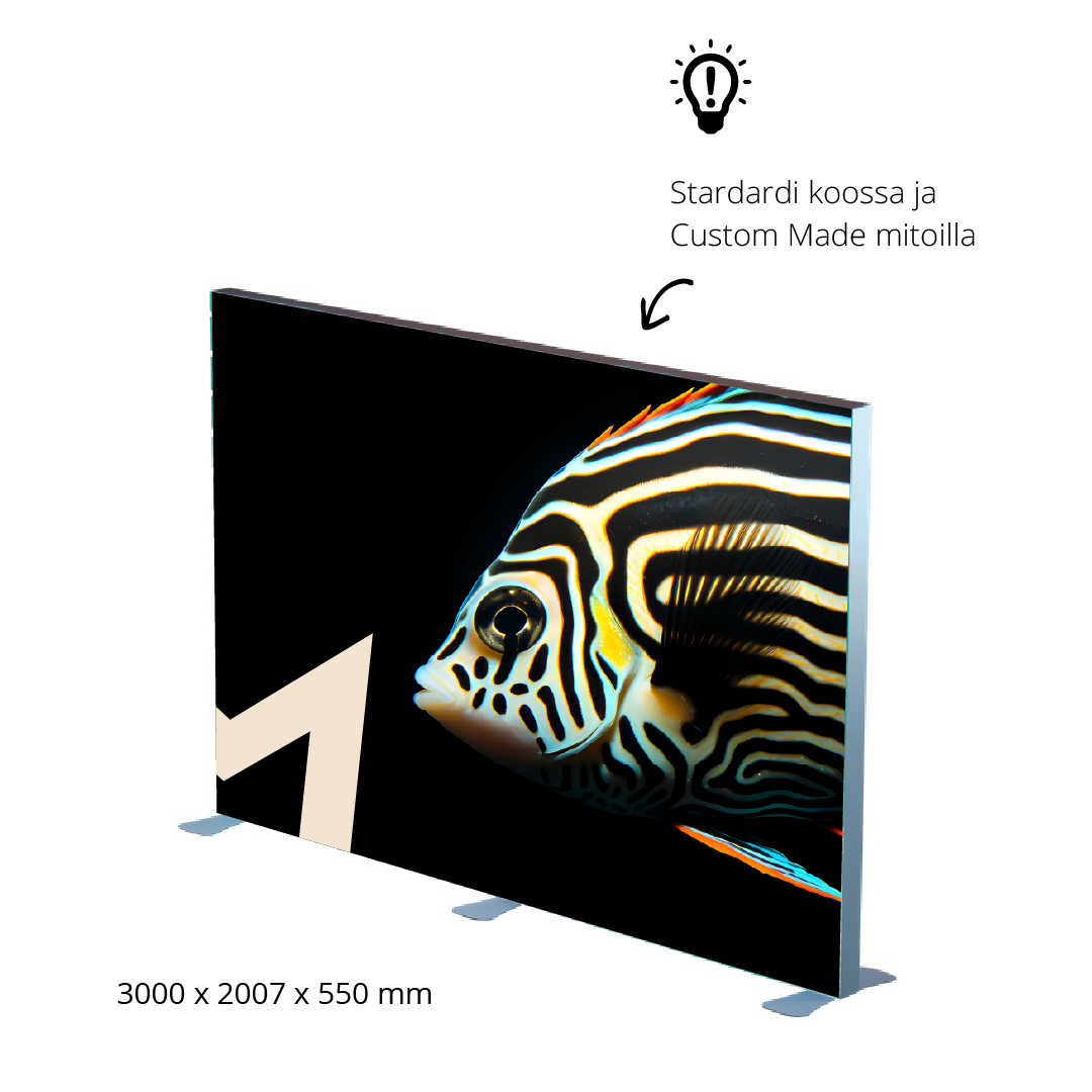 LED Star Basic | Marlea